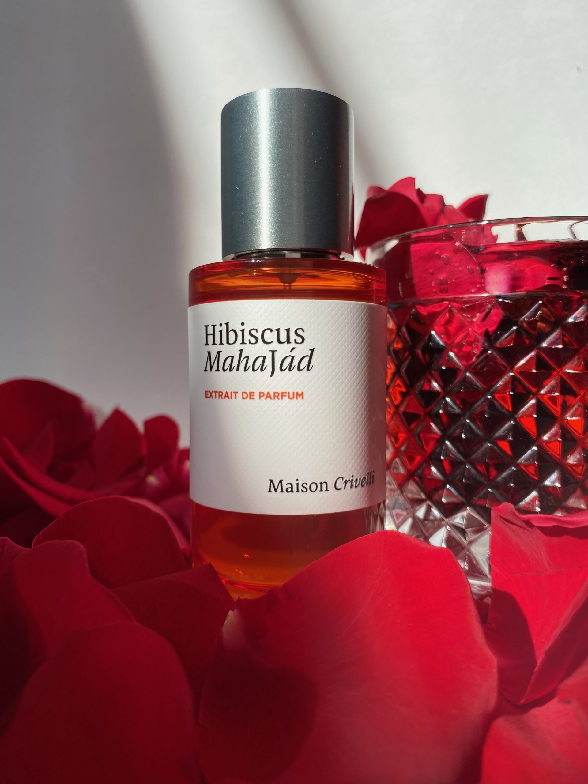 Hibiscus Mahajád Maison Crivelli – Aladin